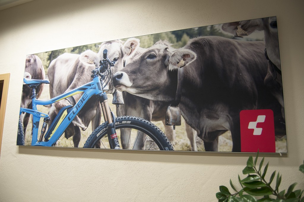 Behind The Scenes: Cube Factory, Germany - 99 Bikes Blog